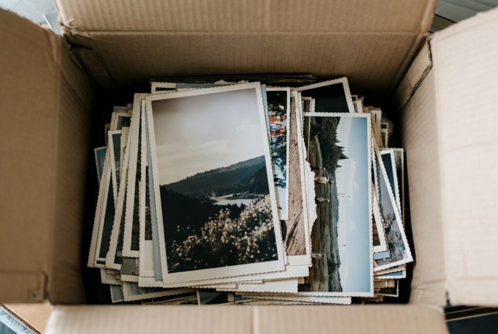 Things You Should Never Store in a Cardboard Box – JAMIEZHU